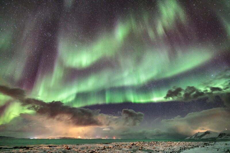 Lyngenalps: Northern Lights Snowmobile Safari - Real Traveler Insights
