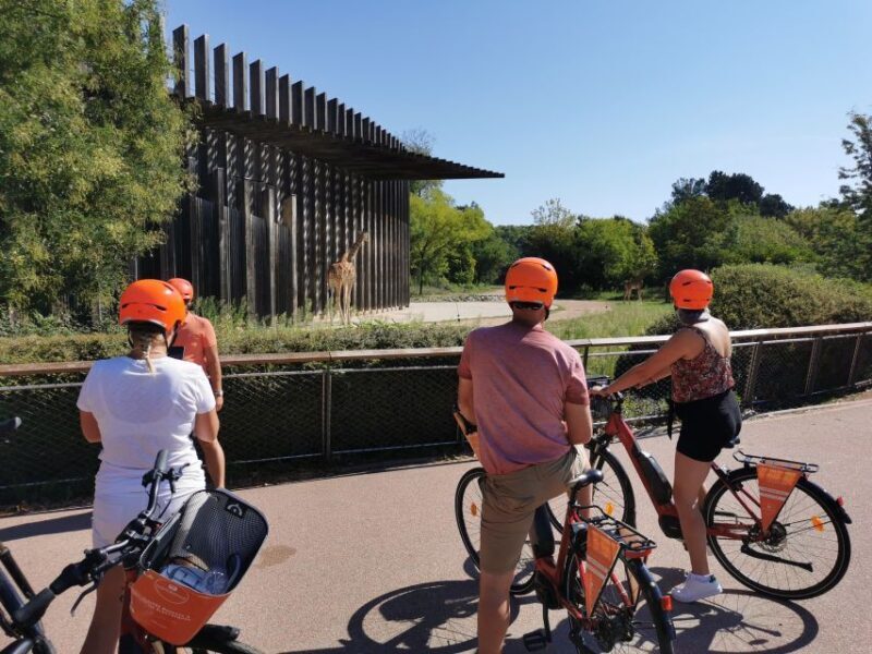 Lyon: 2-Hour Electric Bike Tour with a Local Guide - Introduction