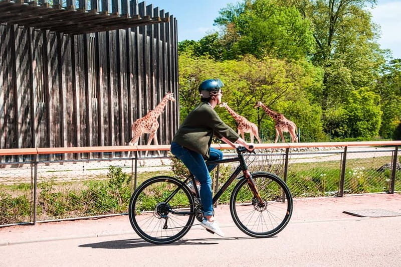 Lyon: Discovery of the Tête d'Or Park by bike - Key Points