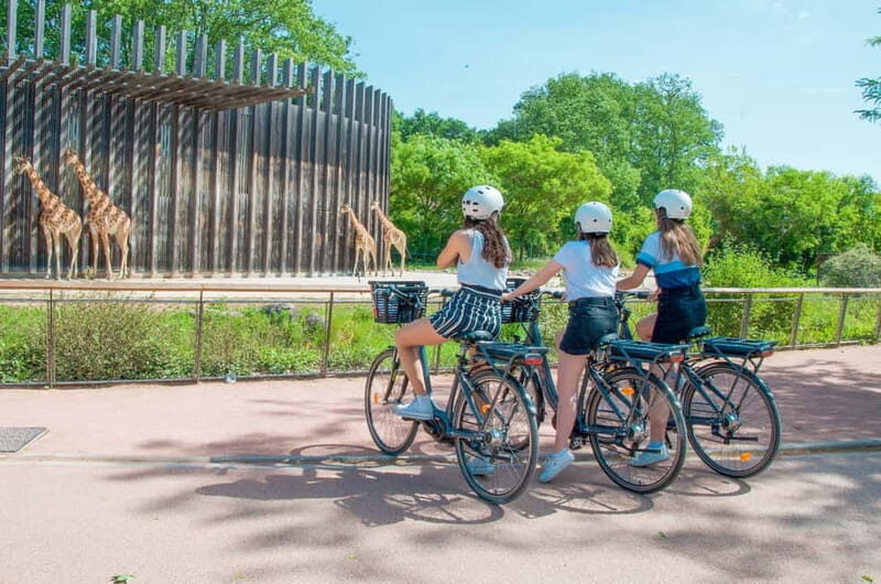 Lyon: Discovery of the Tête d'Or Park by eBike - Key Points