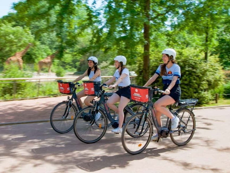 Lyon: Electric bike rental - 2 hours - Key Points