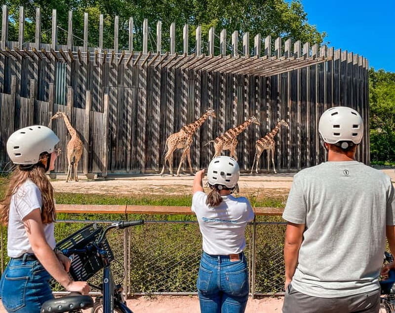 Lyon: Parc Tête d'Or eBike Tour - Getting to Know the Tour: A Practical Breakdown