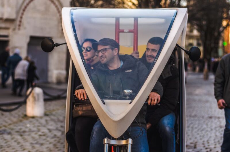 Lyon: Private Pedicab Tour of Top Landmarks & Hidden Gems - Exploring Lyon on a Pedicab: The Experience in Detail