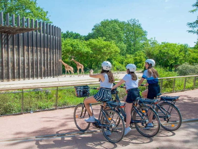 Lyon: Rent an electric bike for 2 hours - Discover Lyon with a 2-Hour Electric Bike Rental
