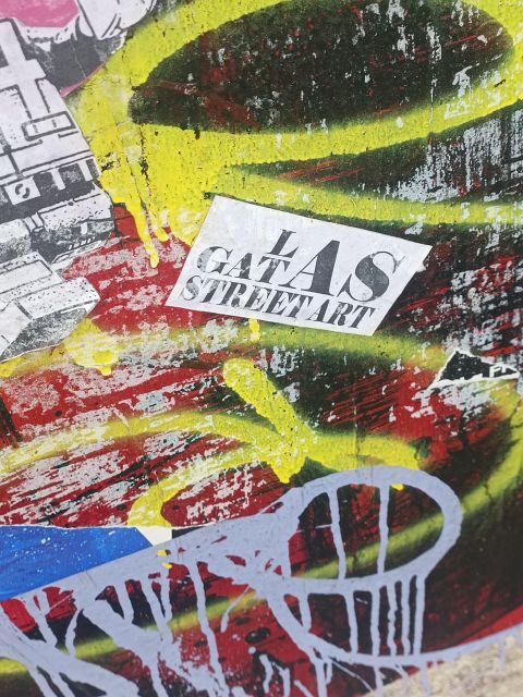 Lyon: Street Art in the Croix Rousse district - FAQ