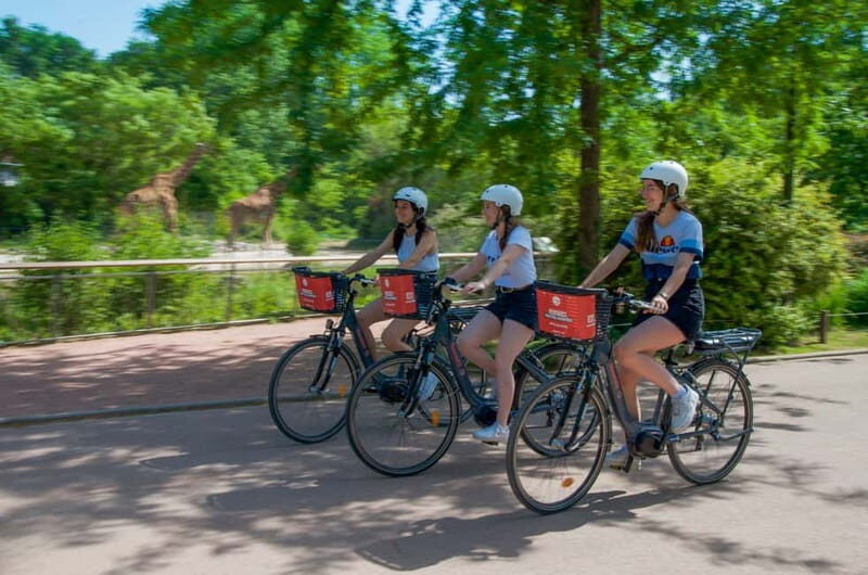 Lyon: The Great ebike Tour - Cost and Value