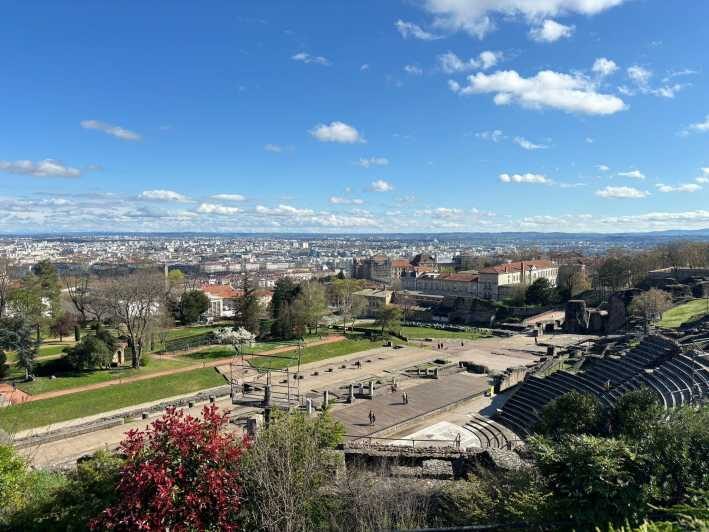 Lyon : Visit Lyon on a private half-day tour with a driver - Why Choose a Private Tour of Lyon?