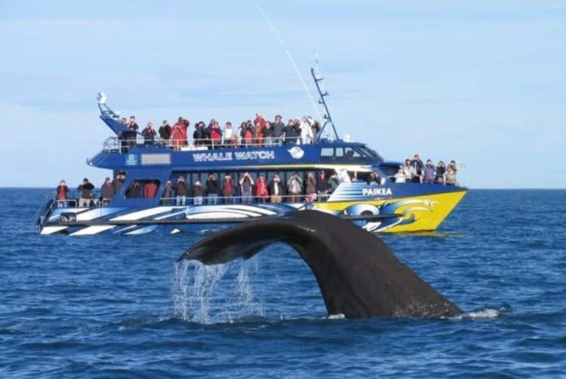 Lyttelton Port: Day Tour 3 options for Cruise Passengers - Authentic Experiences That Make This Tour Stand Out