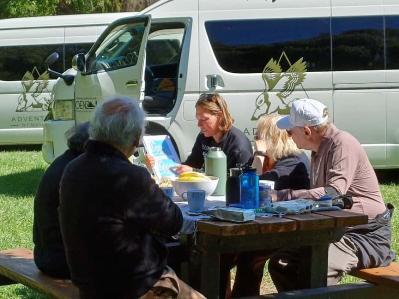 Lyttelton: Shore Excursion, Caving & Castle Hill Rocks - Weighing the Value