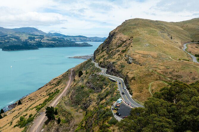 Lyttelton Shore Excursion - Christchurch Highlights & Punting - Why This Tour Works for Travelers