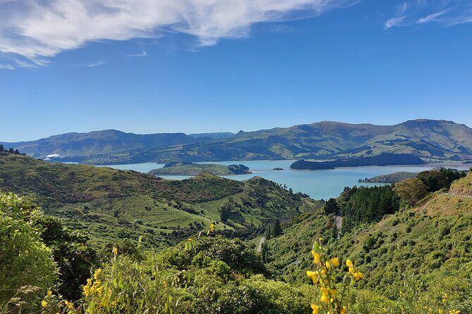Lyttelton Shore Excursion: Christchurch Sightseeing with Jet Boating - A Deep Dive into the Experience