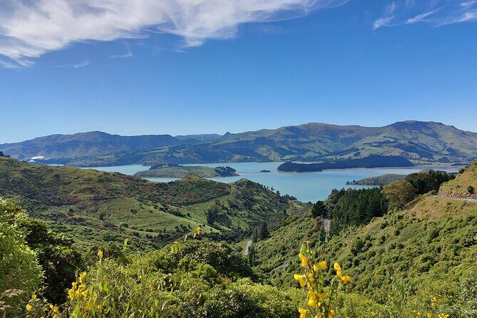 Lyttelton Shore Excursion: Christchurch & Willowbank Tour - Exploring Christchurch and Its Surroundings—A Practical Breakdown