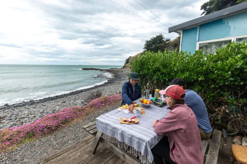 Lyttelton: Shore Excursion, Godley Head, Guided Walk - Key Points