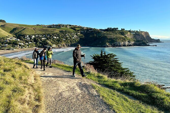 Lyttelton Shore Excursion - Guided Walking Tour and Picnic - An In-Depth Look at the Experience