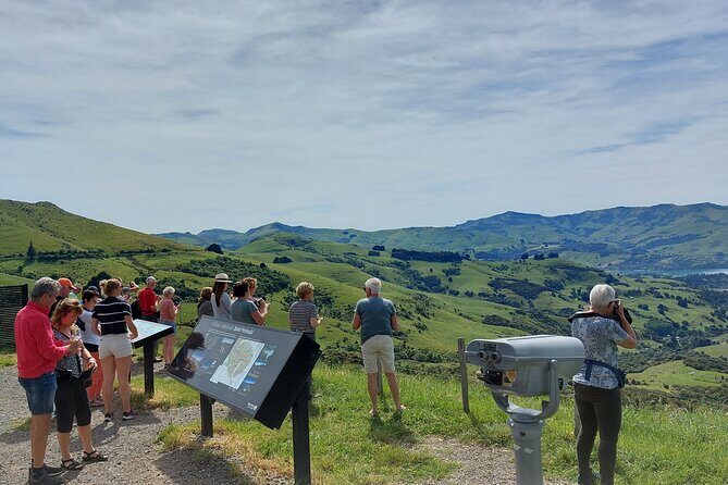 Lyttelton Shore Excursion: Twin Harbour Tour (Lyttelton & Akaroa) - The Value of This Experience