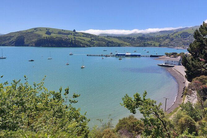 Lyttelton Shore Excursion: Twin Harbour Tour (Lyttelton & Akaroa) - FAQ