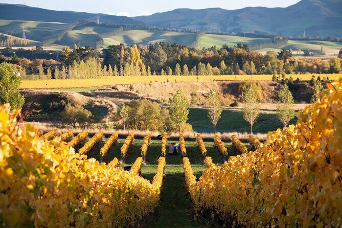 Lyttelton Shore Excursion: Waipara Valley Wine Tour with Lunch - FAQs