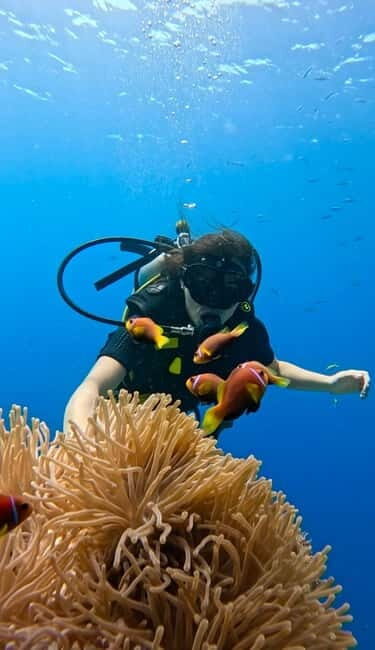 Maafushi: Discover Scuba Diving Class, First Time Experience - An In-Depth Look at the Maafushi Scuba Experience