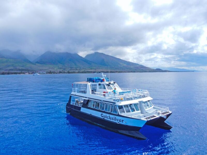 Ma'alaea Harbor: Whale Watching Tour Aboard Power Catamaran - What Makes This Whale Watching Tour Stand Out?