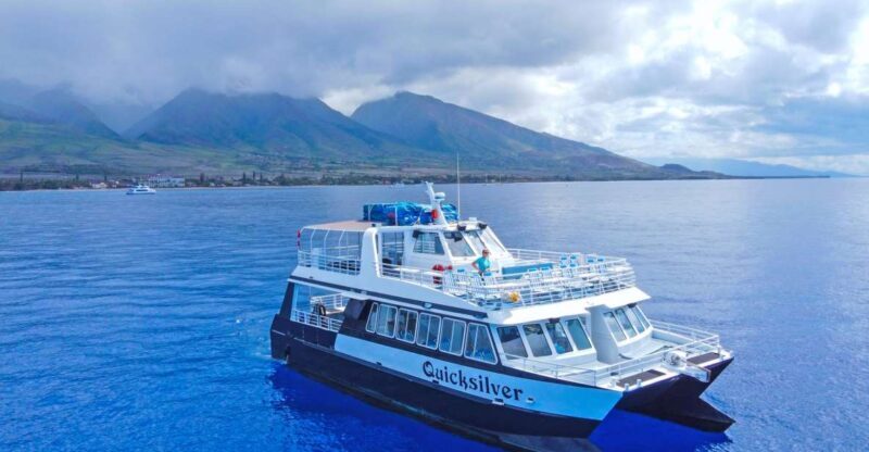Ma'alaea Harbor: Whale Watching Tour Aboard Power Catamaran - Final Thoughts: Is This Tour for You?