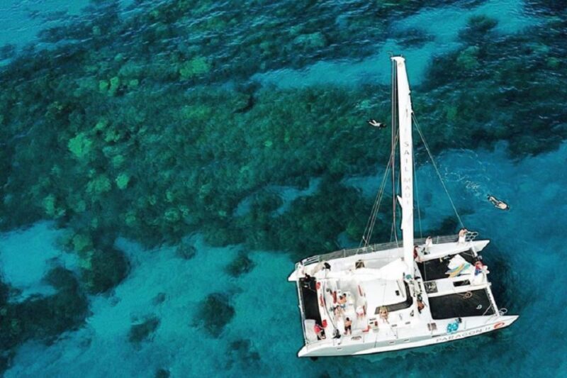 Maalaea: West Maui Snorkeling & Sailing Day Trip with Lunch - Price & Value