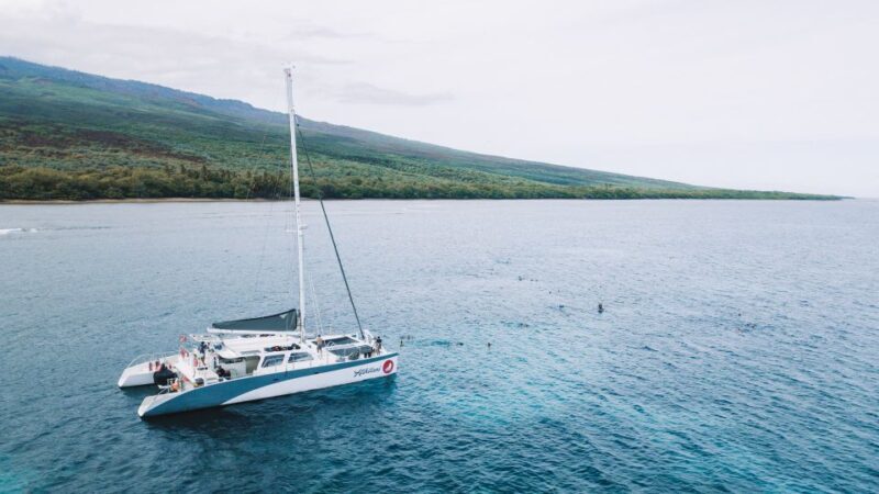 Maalaea: West Maui Snorkeling & Sailing Day Trip with Lunch - Weather & Seasonality