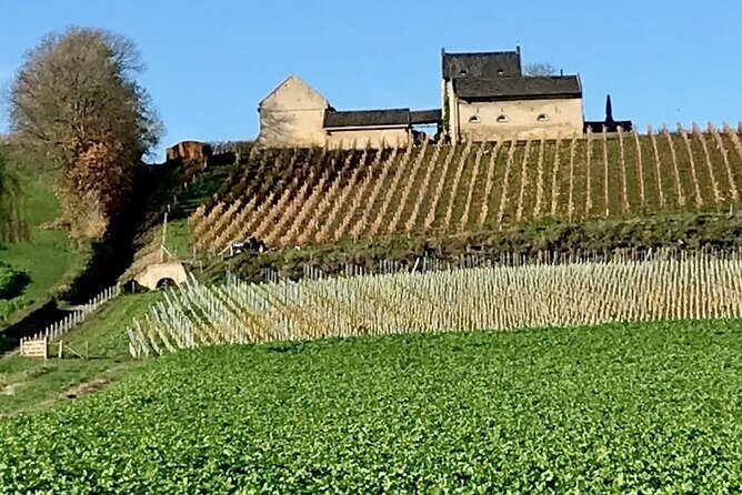 Maastricht Heritage and Nature Tour - Exploring Maastricht’s Heritage and Nature in Detail