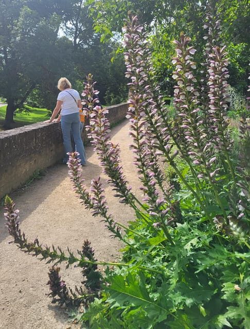 Maastricht Hidden Gems Tour Uncover the Unexpected - Key Points