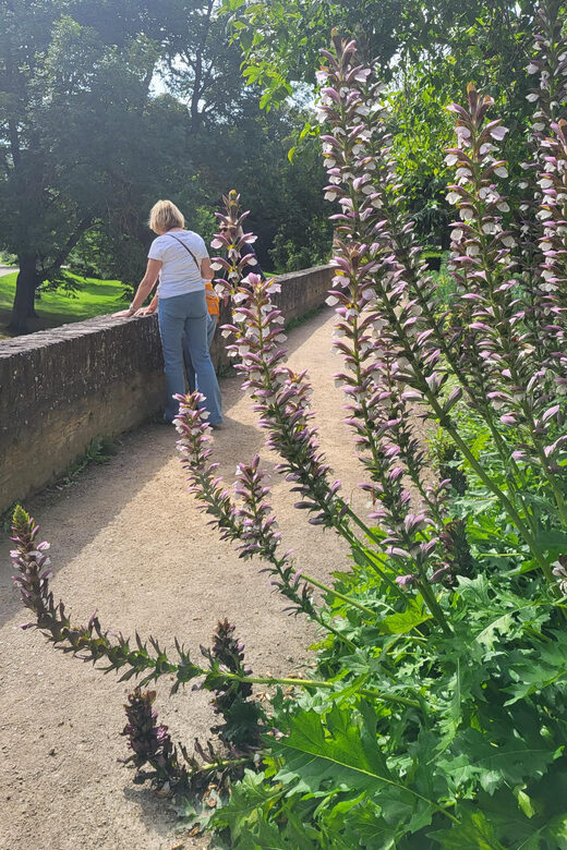 Maastricht Hidden Gems Tour Uncover the Unexpected - Authentic, Well-Balanced, and Fun