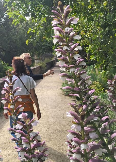 Maastricht Hidden Gems Tour Uncover the Unexpected - The Sum Up: Is It Worth It?