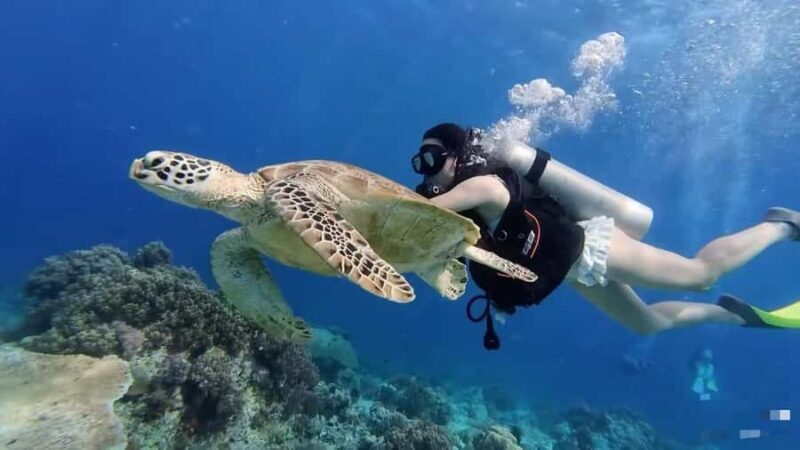 Mabul-Kapalai Islands Diving & Lunch &Photography Tour - Key Points