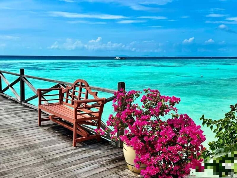 Mabul-Kapalai Islands Diving & Lunch &Photography Tour - An Overview of What to Expect on the Tour