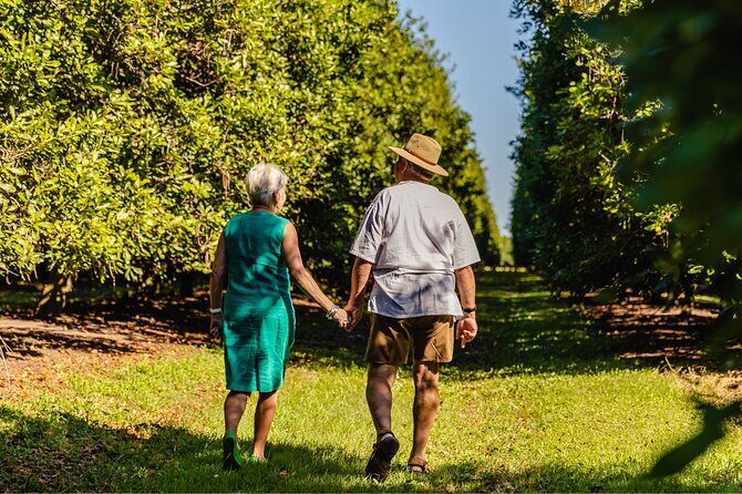 Macadamias Australia Orchard Tour in Bundaberg - Key Points