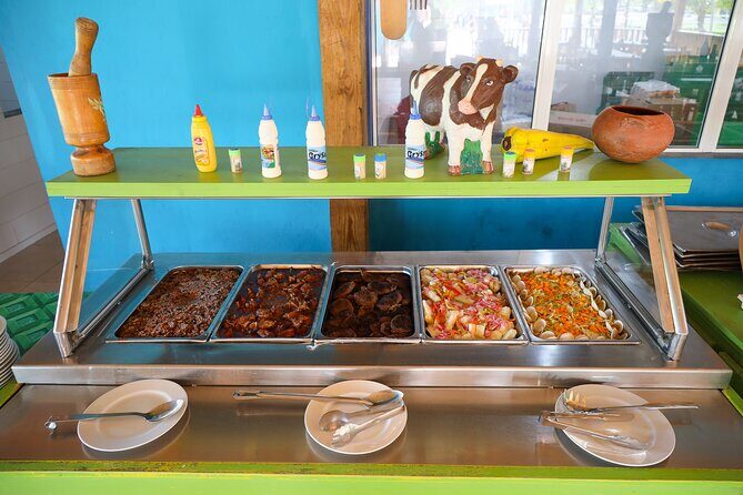 Macao Adventure Park Zipline, Buggy Ride, Cave Swim with Lunch - Horseback Ride: Calm and Scenic Finish