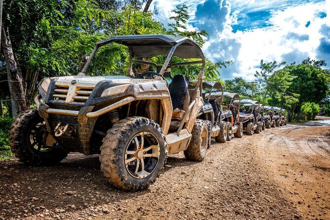Macao Beach Buggy Safari & Cenote Swimming - Who Should Consider This Tour?