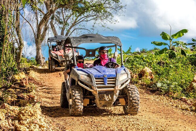 Macao Beach Buggy Safari & Cenote Swimming - Authenticity and Traveler Feedback