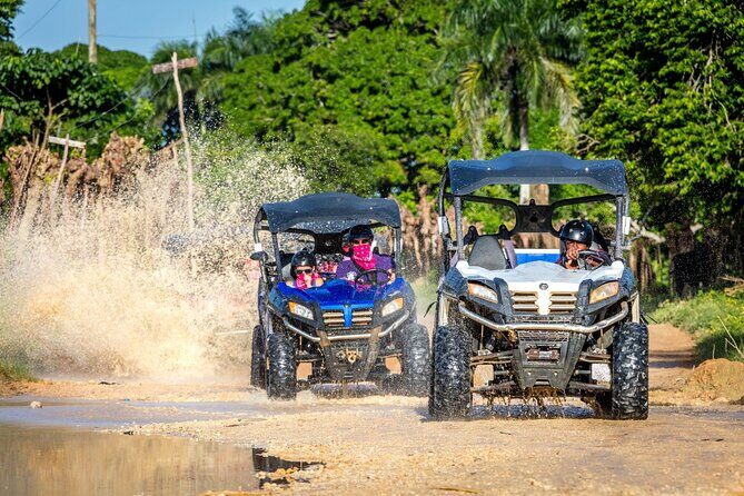 Macao Beach Buggy Safari & Cenote Swimming - Final Thoughts: Is It Worth It?
