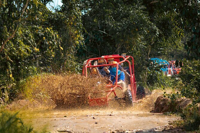 Macao Punta Cana Adventure - An Overview of the Tour Experience