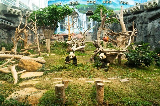 Macau Private Tour with an Insider - Key Points