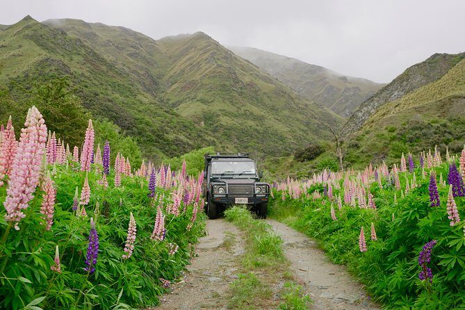 Macetown 4WD Adventure  Full Day Guided Tour from Queenstown - The Sum Up: Is This Tour Right for You?