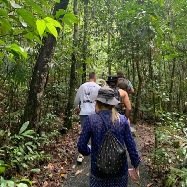 Mackay: Finch Hatton Gorge Hike, Swim & Platypus Adventure - An In-Depth Look at This Queensland Adventure