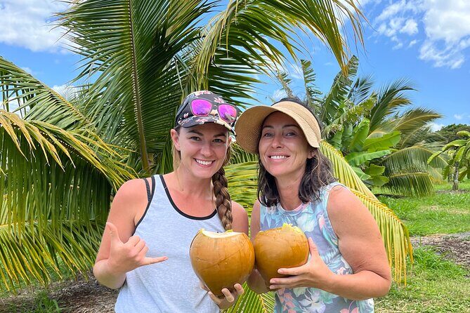 Macnut Tour, Picnic lunch and Maui Bees - Introduction: A Genuine Maui Experience