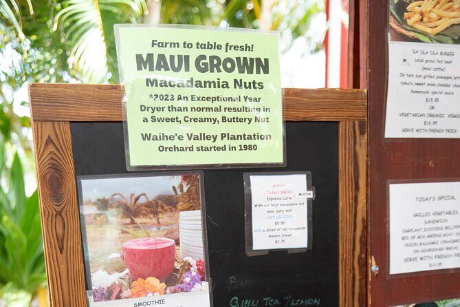 Macnut Tour, Picnic lunch and Maui Bees - The Sum Up: A Rewarding, Authentic Maui Experience