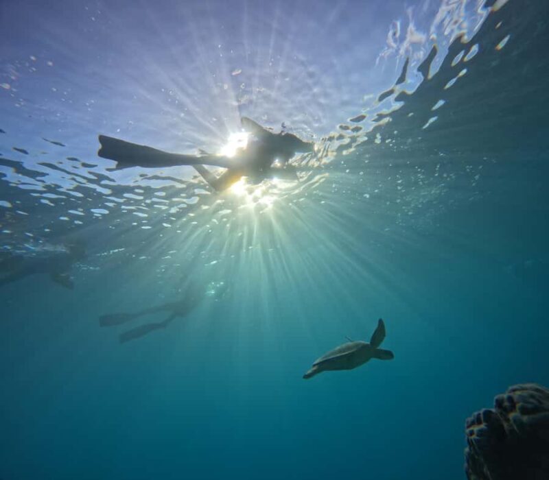 Mactan: Freediving and Island Hopping with lunch - Introduction: A Practical and Heartfelt Look at Mactan’s Freediving Adventure
