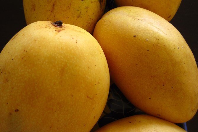 Mactan Island and Cebu in One Day with Lunch - A Practical Overview of the Tour Experience