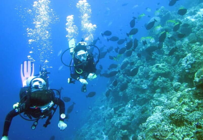 Mactan: PADI Open Water Diver Certification Course - A Close Look at What to Expect