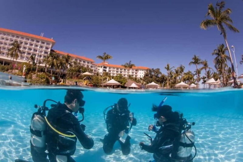 Mactan: PADI Open Water Diver Certification Course - Authentic Experiences and Highlights