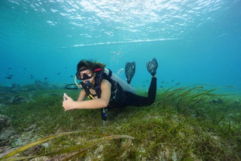 Mactan Sanctuary: Discover Scuba Diving, Island Hop, & Lunch - An in-depth look at the tour