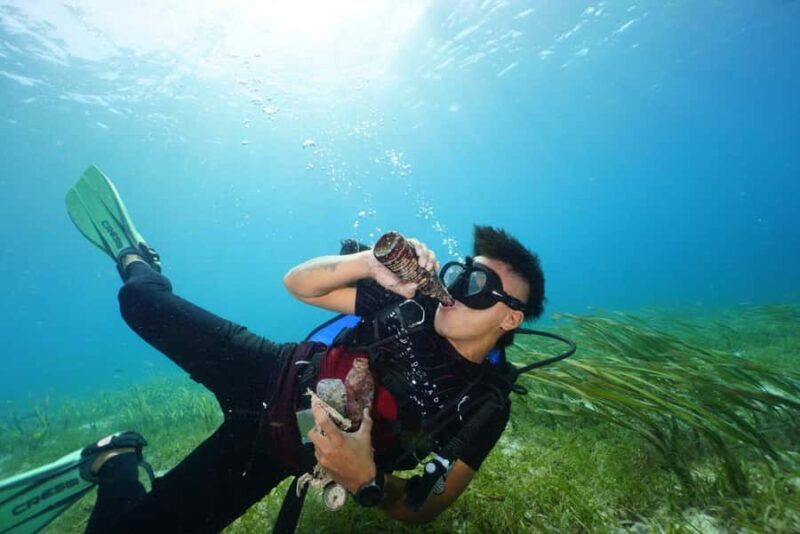 Mactan Sanctuary: Discover Scuba Diving, Island Hop, & Lunch - Practical considerations