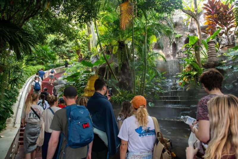 Mad Monkey Bangkok City Session - Walking Tour - In-Depth Look at the Tour Experience
